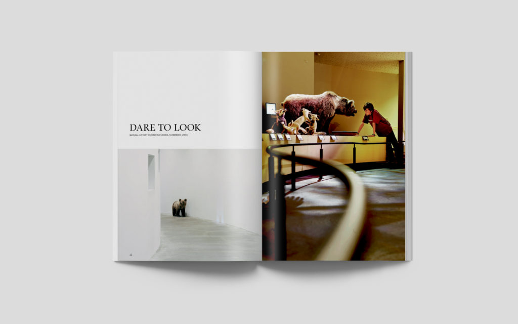 Scandinavian Reflections - Enspace